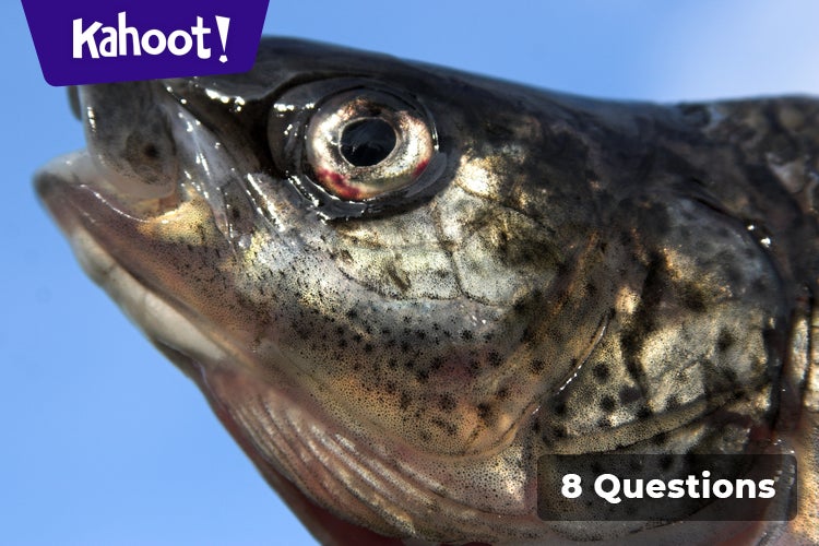 Powan fish - Kahoot! Quiz