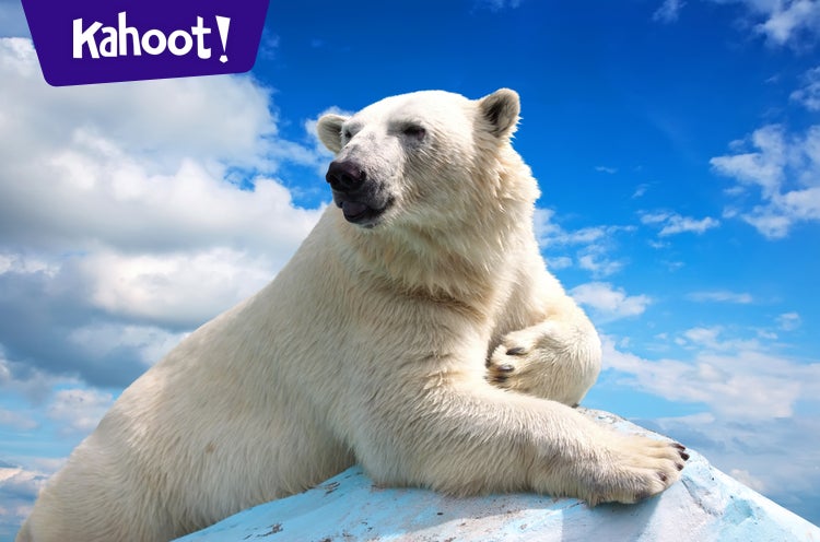 All About Polar Bears - Kahoot! Quiz