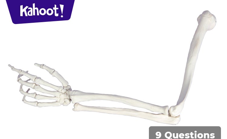 Anatomy Quiz - Kahoot! Quiz