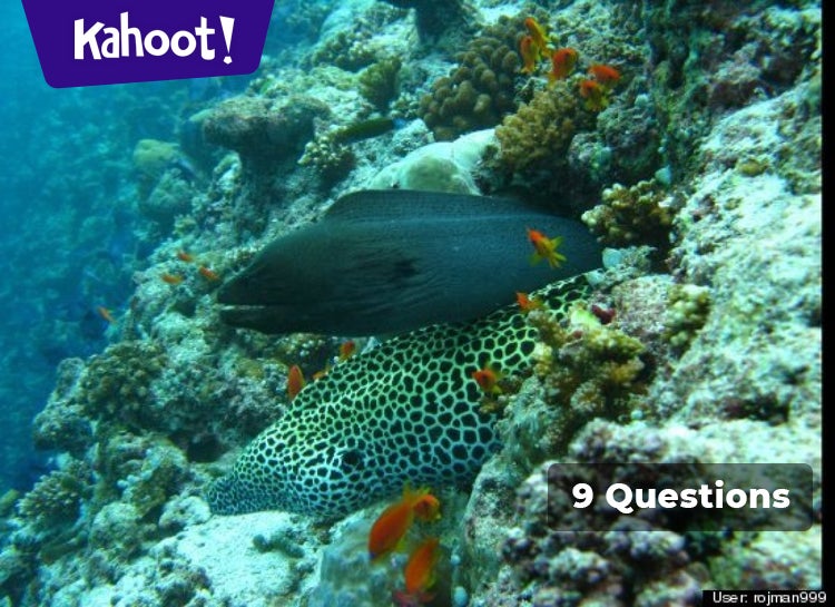 In the Ocean - Kahoot! Quiz