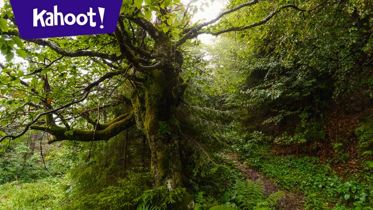Greek & Latin Root Meanings- bio, port, gen, viv, mega, astr, form ...