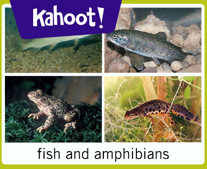 Fish and Amphibians - Kahoot! Quiz