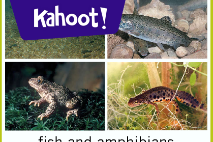 Fish and Amphibians - Kahoot! Quiz
