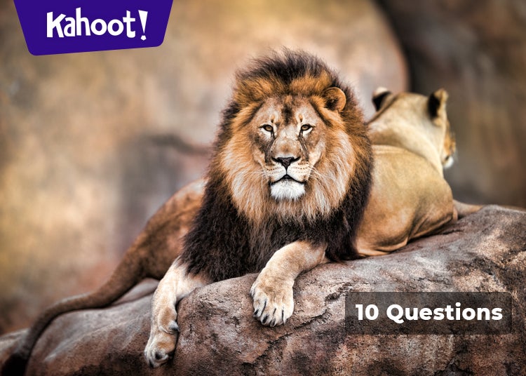 INTERMEDIATE 2 KIDS REVIEW - Kahoot! Quiz