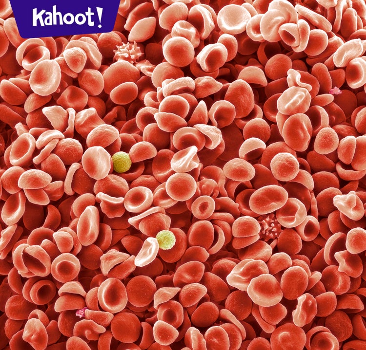 Shock Kahoot Kahoot Quiz