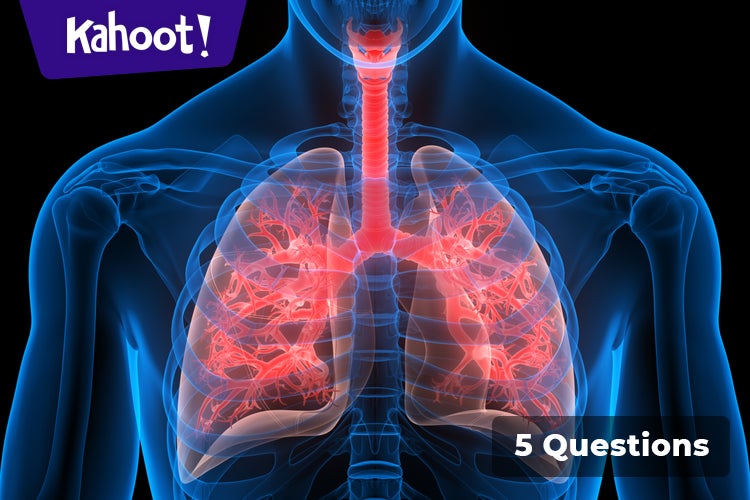Alveolar Gas Exchange - Kahoot! Quiz