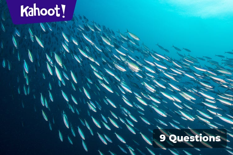 COLE Populations and Resources Unit Review - Kahoot! Quiz