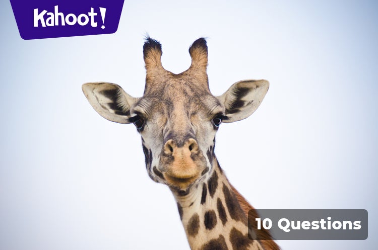 G o J. 02 - Kahoot! Quiz