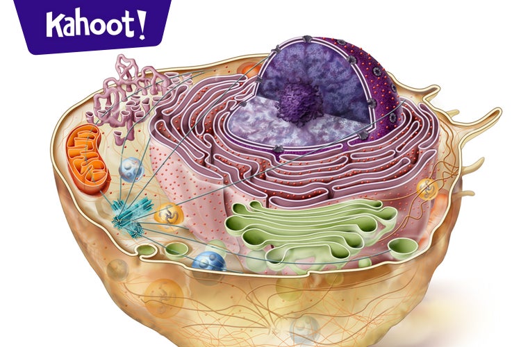 Cells - Kahoot! Quiz