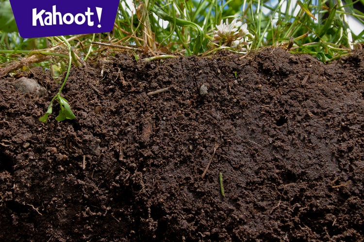 LC Ag. Science: Soil Science Quiz - Kahoot! Quiz