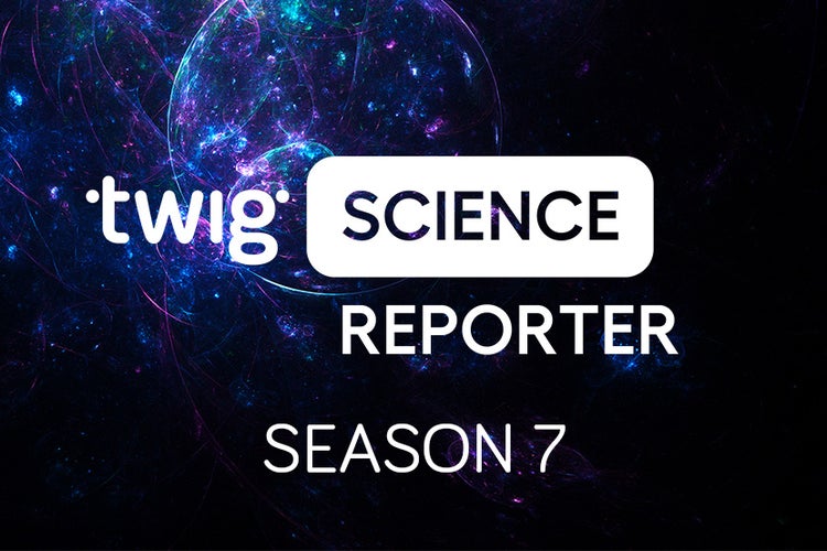 Season 7 | Twig Science Reporter - Kahoot! Course