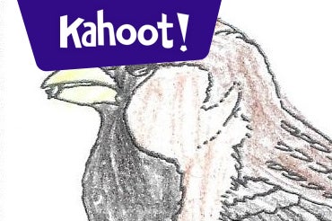 Euro Bird Watch - Kahoot! Quiz