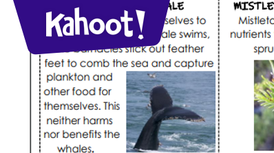 Symbiotic Relationship Notes - Kahoot! Quiz