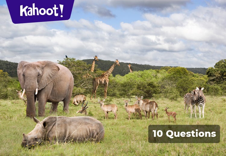 Animals, Animals (Reading A-Z) - Kahoot! Quiz