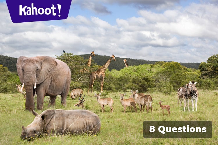Animal Kingdom - Kahoot! Quiz