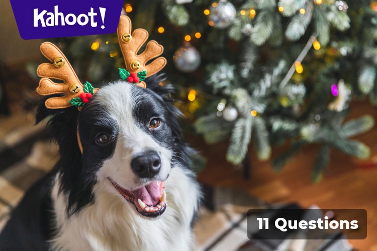 Noël - Vocabulaire 🎄 - Kahoot! Quiz