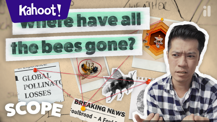 Where HAVE all the bees gone? - Kahoot! Quiz