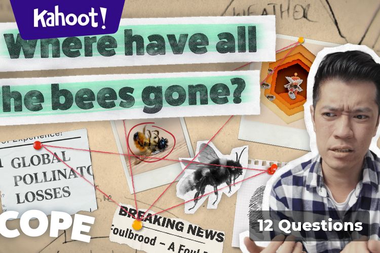 Where HAVE all the bees gone? - Kahoot! Quiz