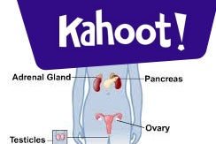 Endocrine System - Kahoot! Quiz
