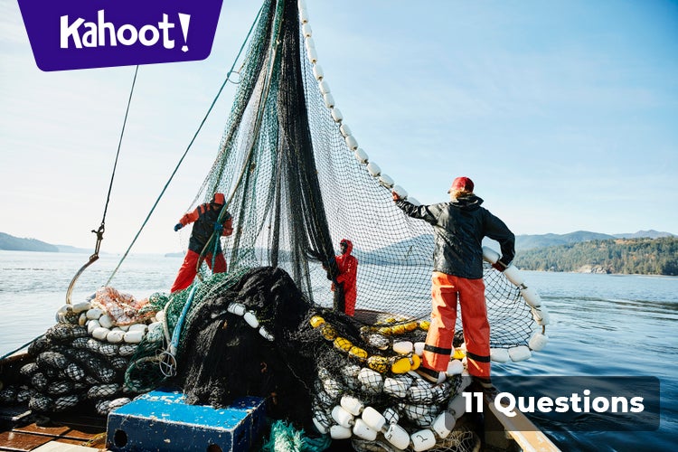 Humans and the Environment - Kahoot! Quiz
