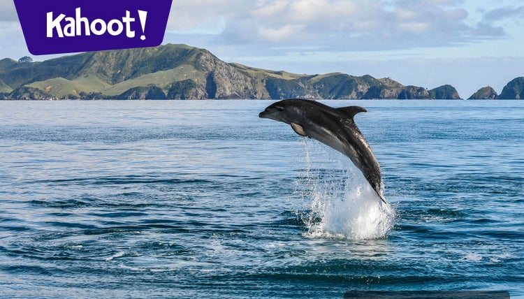 kagaroo chess - Kahoot! Quiz