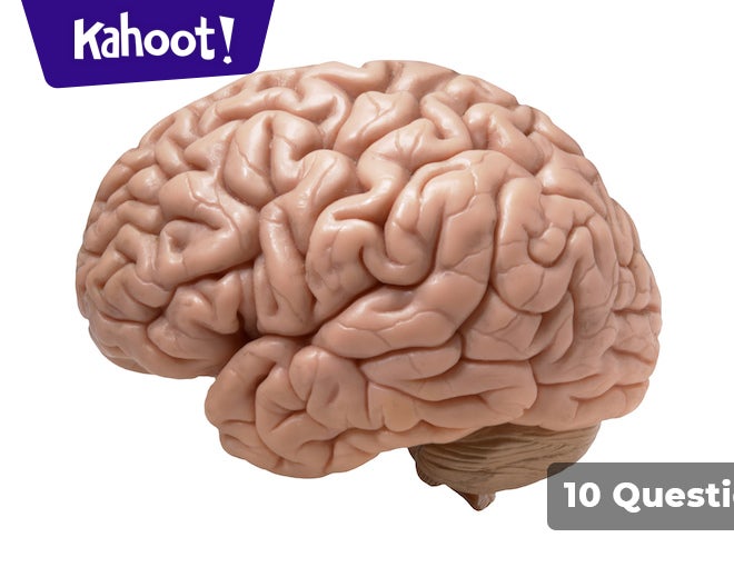 What I learned about the BRAIN!!! - Kahoot! Quiz