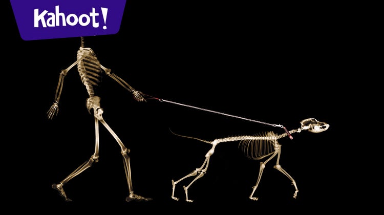 Skeleton & Muscular Systems - Kahoot! Quiz