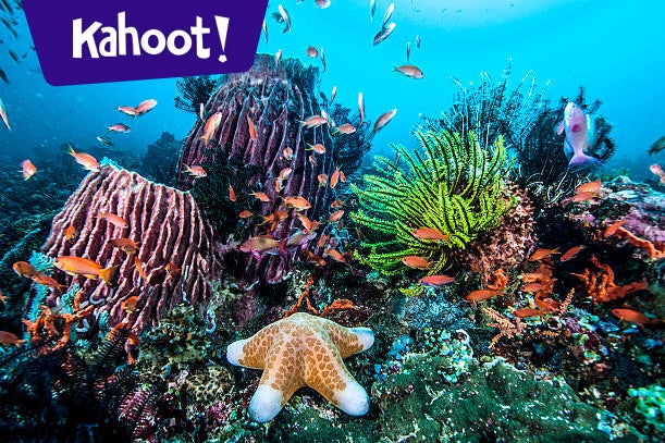 Marine life ; Monday - Kahoot! Quiz