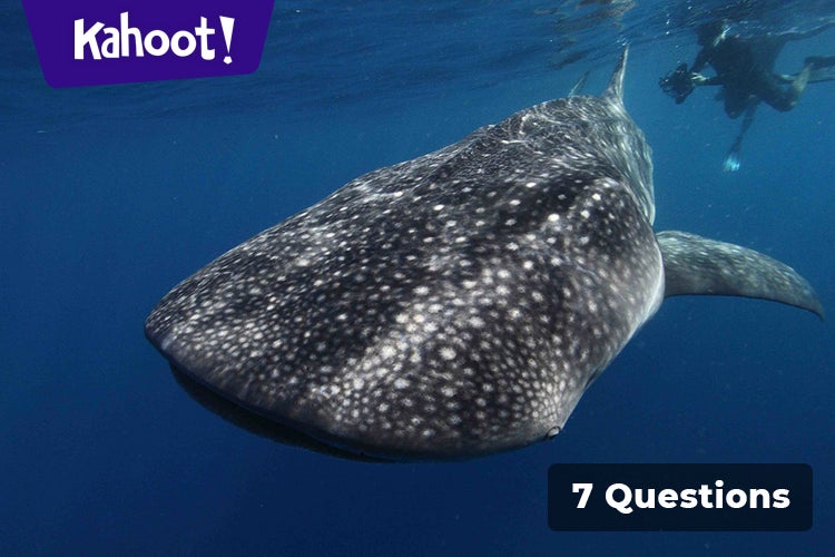 The World's Largest Fish- Vocabulary - Kahoot! Quiz