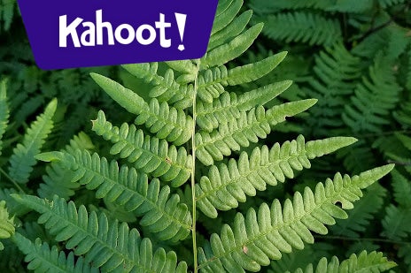 Plants 1 Exit Pass - Kahoot! Quiz