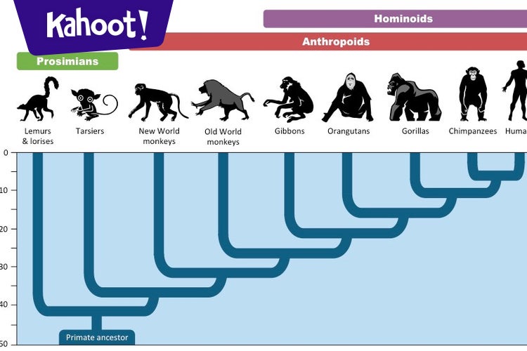 Human Evolution Review - Kahoot! Quiz