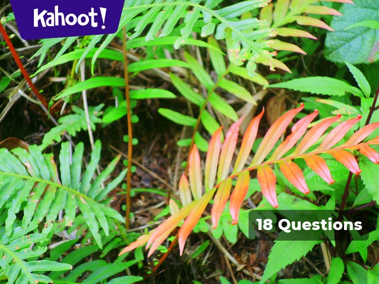 More about amazing non-flowering plant reproduction. - Kahoot! Quiz