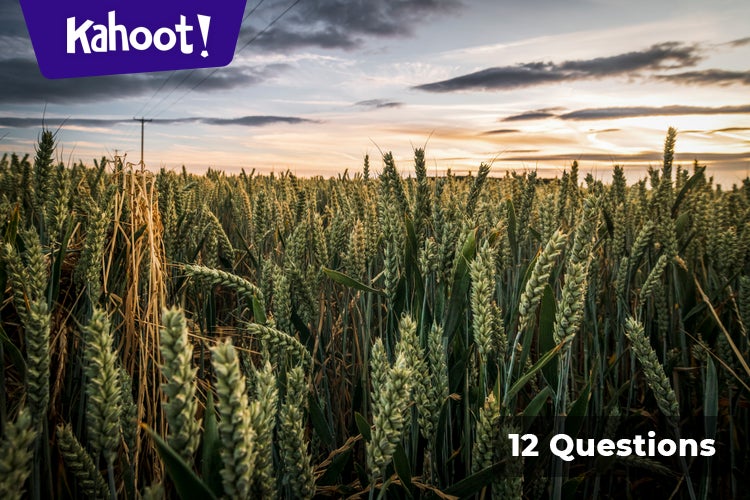 Natural Resources - Kahoot! Quiz