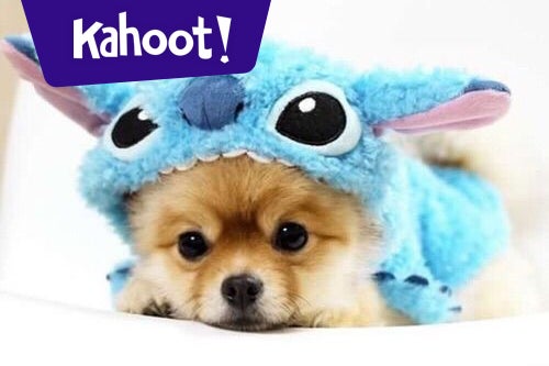 DOGS vocab - Kahoot! Quiz