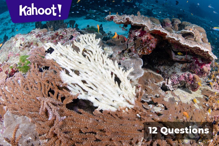 Ocean Acidification - Kahoot! Quiz