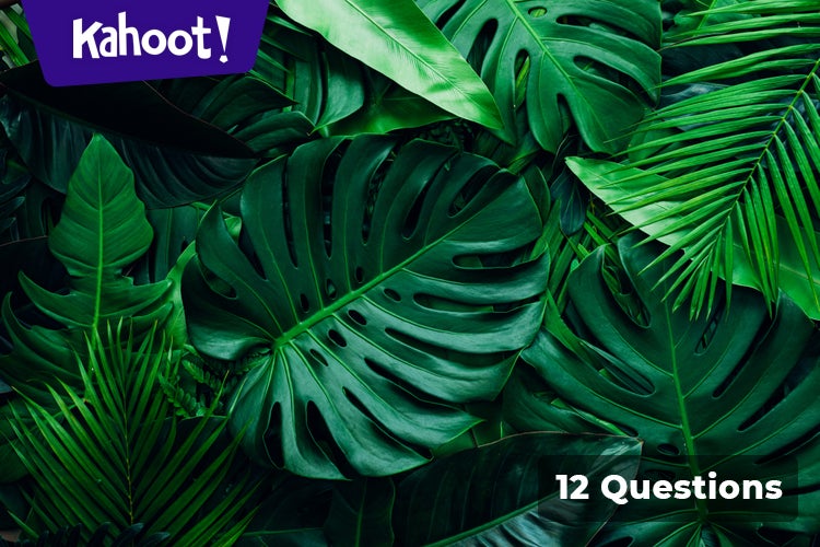 Reading Comprehension: The Jungle by Upton Sinclair - Kahoot! Quiz