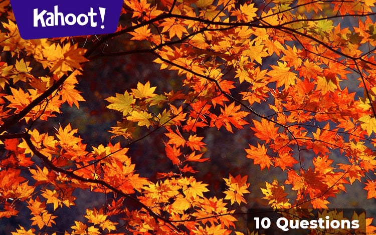 Multiplying Fractions - Kahoot! Quiz