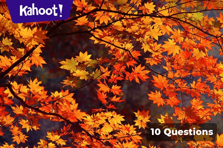 Multiplying Fractions - Kahoot! Quiz