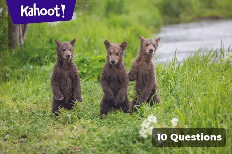 Math Challenge! - Kahoot! Quiz