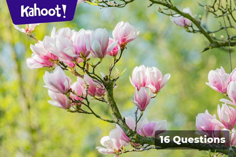 PLANTS - Kahoot! Quiz