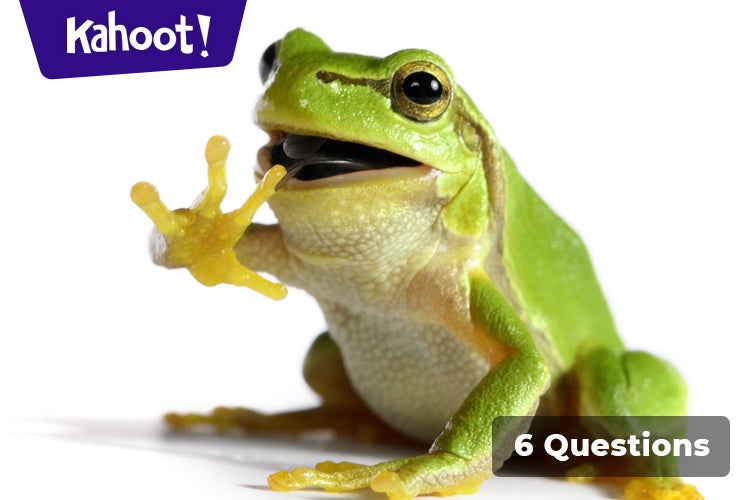 #P3 SCIENCE - #ANIMALS - Kahoot! Quiz