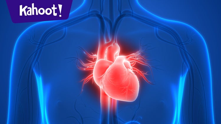 Kahoot!Ch.5"CardiovascularSystem"PRACTICE - Kahoot! Quiz