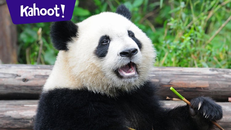 Symbiotic Relationships - Kahoot! Quiz
