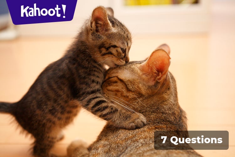 Baby Animals - Kahoot! Quiz