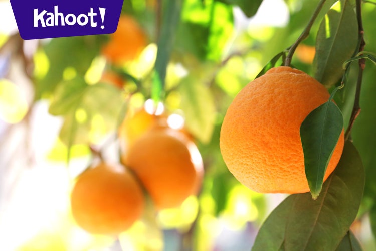 【小学国語4年】kokugoclub-4-03 - Kahoot! Quiz