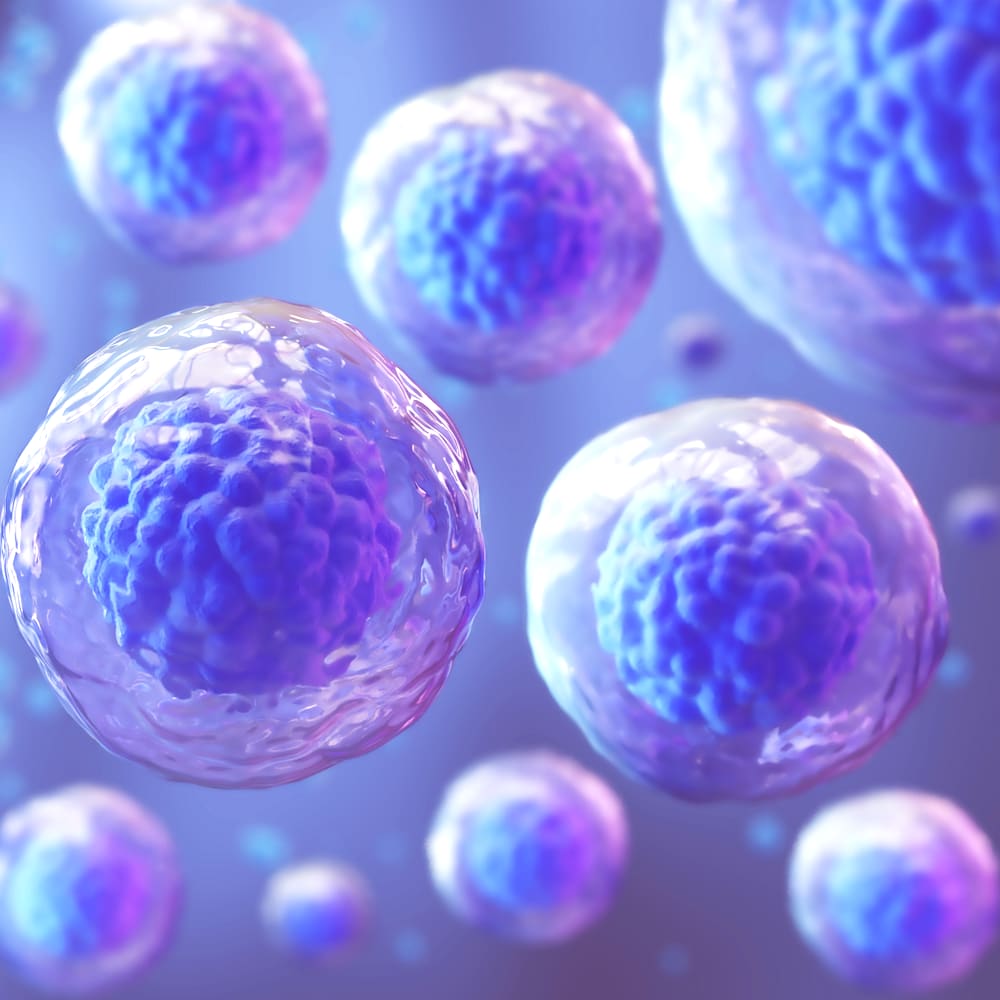 1.1. Cell Structure GCSE Biology AQA - Kahoot! Quiz