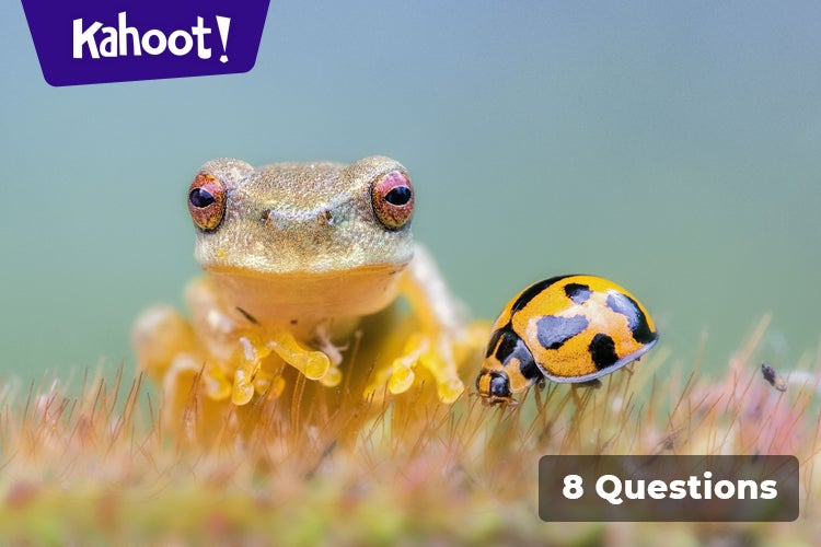 All About Biodiversity - Kahoot! Quiz