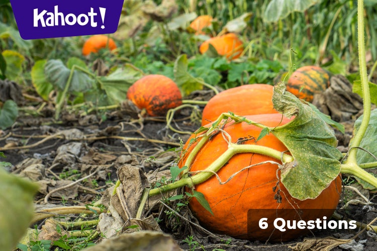 Halloween vocabulary - Kahoot! Quiz