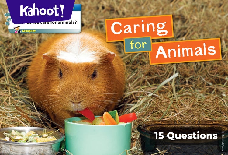 Wonders Grade 2 Unit 1 Week 4 - Kahoot! Quiz