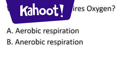 Respiratory Physiology - Kahoot! Quiz